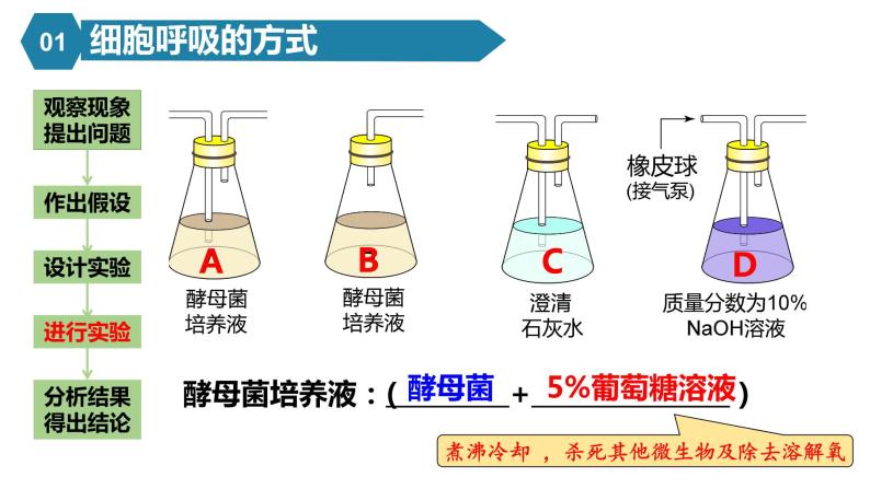 生物必修1《分子与细胞》第3节 细胞呼吸的原理和应用说课ppt课件 教习网课件下载