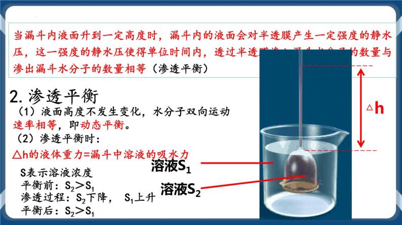 考点01 细胞的物质输入和输出 练习课件 教习网课件下载