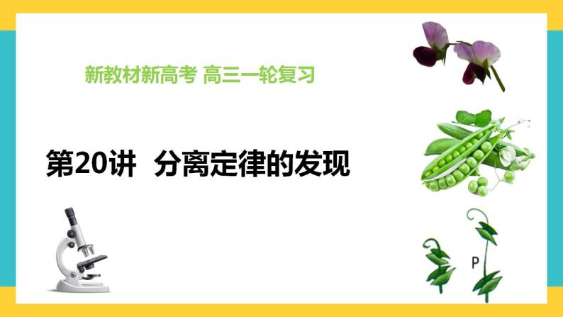 【高考一轮专题复习】高考生物专题复习——第20讲《分离定律的发现》复习课件（全国通用） 教习网课件下载