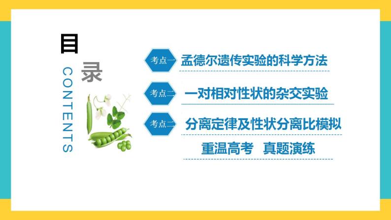 【高考一轮专题复习】高考生物专题复习——第20讲《分离定律的发现》复习课件（全国通用） 教习网课件下载