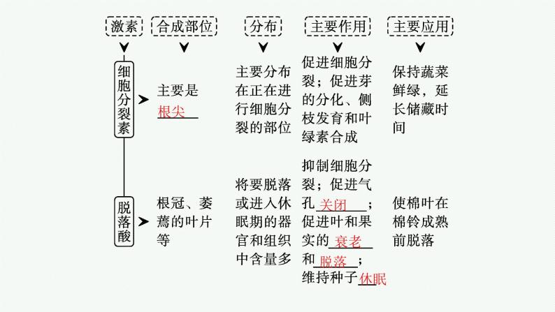 高中生物人教版 2019选择性必修1第2节 其他植物激素教学演示课件ppt 教习网课件下载