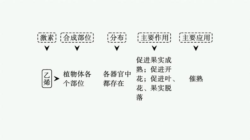 高中生物人教版 2019选择性必修1第2节 其他植物激素教学演示课件ppt 教习网课件下载