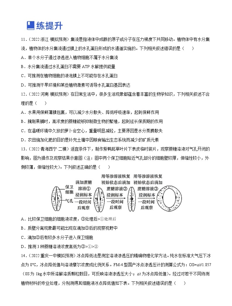 【备战2023高考】生物总复习——专题07《细胞的物质输入和输出》练习（新教材新高考） 教习网课件下载