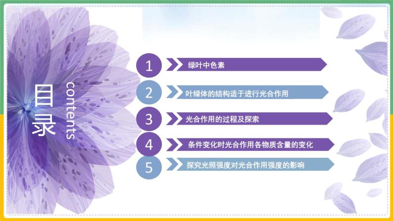 【备战2023高考】生物总复习——专题10《光合作用（一）》课件（新教材新高考） 教习网课件下载