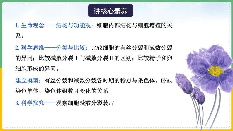 【备战2023高考】生物总复习——专题12《减数分裂和受精作用》课件(新教材新高考) 教习网课件下载