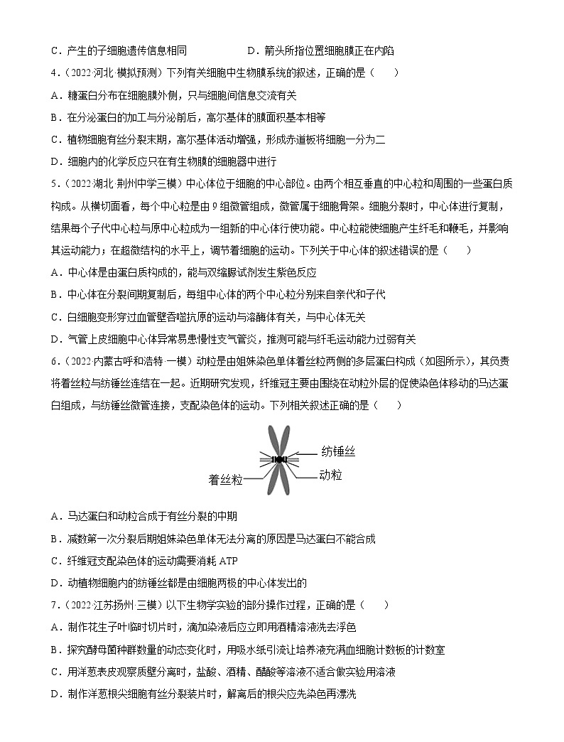【备战2023高考】生物总复习——第四单元《细胞的生命历程》检测卷（a卷·夯实基础）（新教材新高考） 教习网课件下载