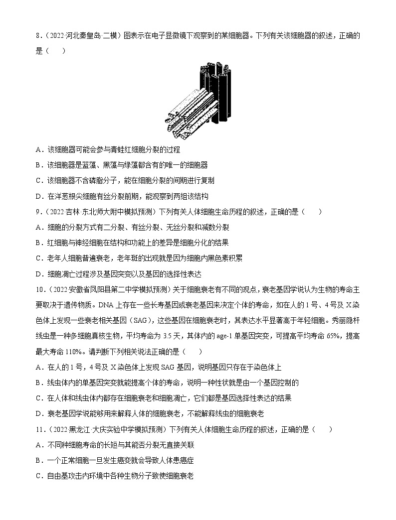 【备战2023高考】生物总复习——第四单元《细胞的生命历程》检测卷（a卷·夯实基础）（新教材新高考） 教习网课件下载
