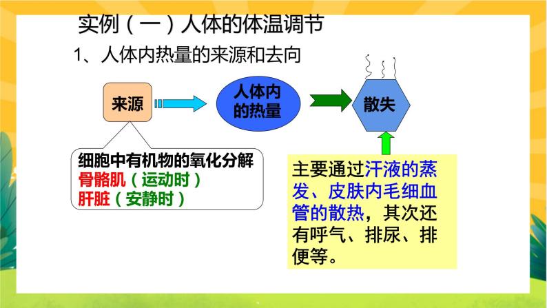 人教版 2019选择性必修1第3节 体液调节与神经调节的关系精品ppt课件 教习网课件下载