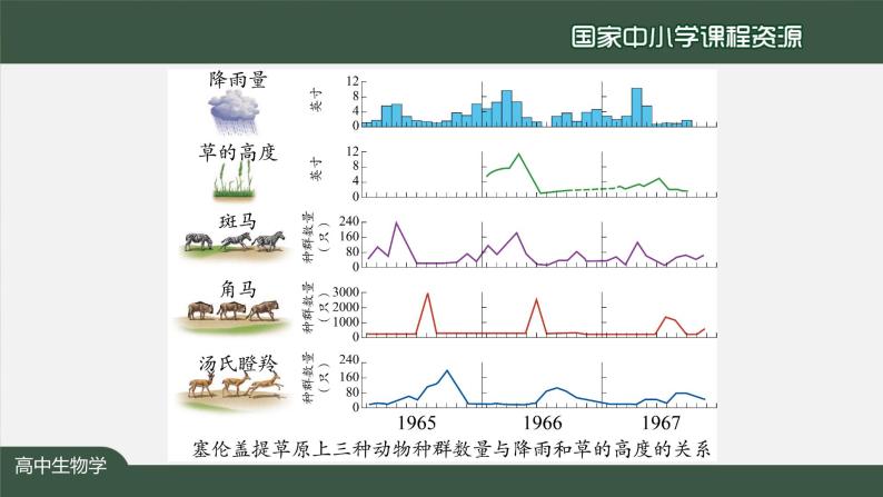 高中生物第3节 影响种群数量变化的因素完整版课件ppt 教习网课件下载