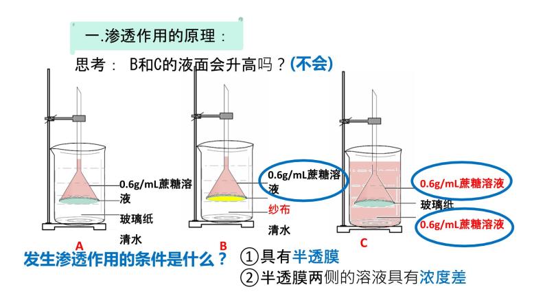 高中生物人教版 2019必修1《分子与细胞》第1节 被动运输集体备课课件ppt 教习网课件下载