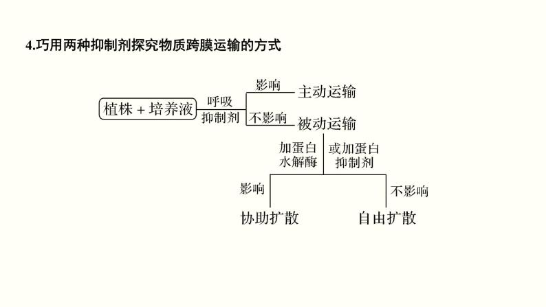 新高考高考生物一轮复习课件第二单元物质运输、酶与atp含解析 教习网课件下载