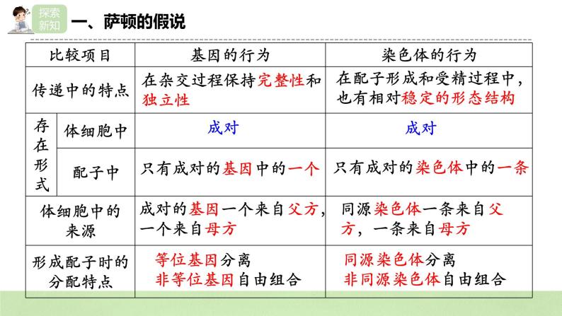 高中生物人教版 2019必修2《遗传与进化》第2节 基因在染色体上示范课课件ppt 教习网课件下载