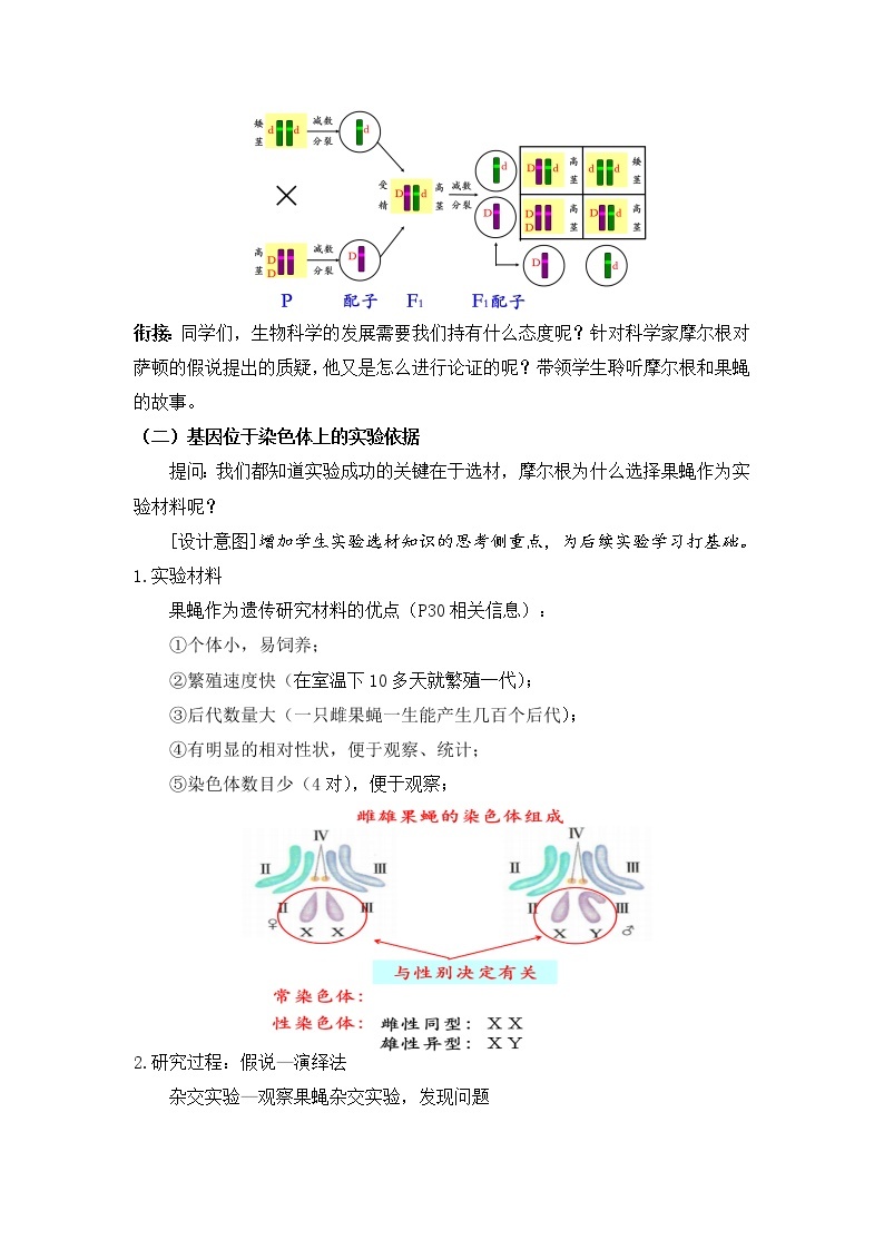 高中生物人教版 2019必修2《遗传与进化》第2节 基因在染色体上示范课课件ppt 教习网课件下载