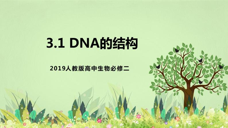 高中生物人教版 (2019)必修2《遗传与进化》第2节 DNA的结构优质课件ppt-教习网|课件下载