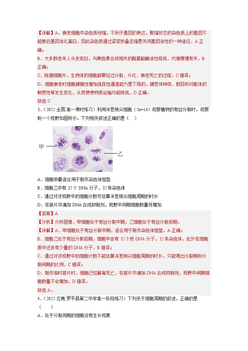 2023年高考生物二轮复习试题（全国通用）05细胞的生命历程（word版附解析） 教习网试卷下载