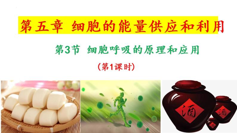 人教版 2019必修1《分子与细胞》第3节 细胞呼吸的原理和应用备课课件ppt 教习网课件下载