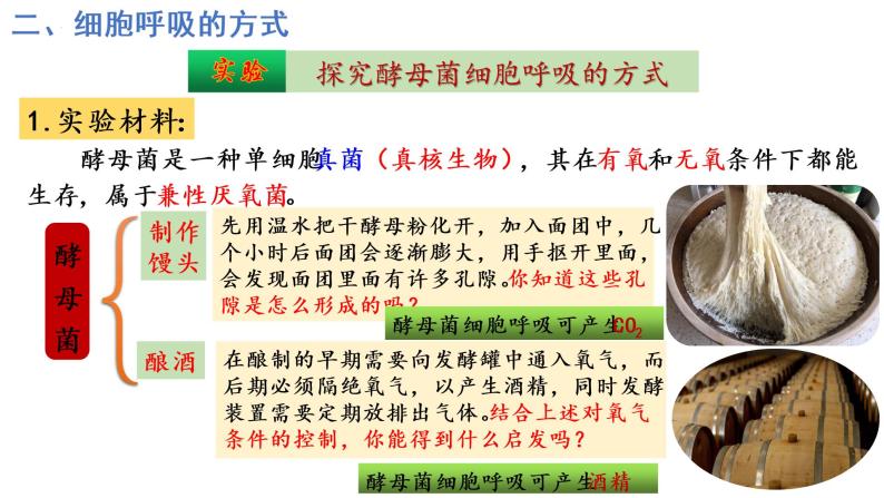 人教版 2019必修1《分子与细胞》第3节 细胞呼吸的原理和应用备课课件ppt 教习网课件下载