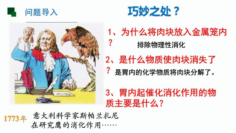 人教版 2019必修1《分子与细胞》第5章 细胞的能量供应和利用第1节 降低化学反应活化能的酶一 酶的作用和本质说课课件ppt 教习网课件下载