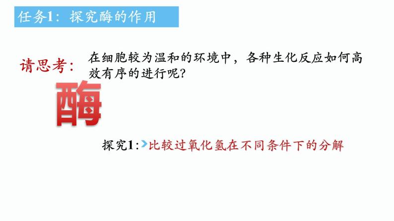 人教版 2019必修1《分子与细胞》第5章 细胞的能量供应和利用第1节 降低化学反应活化能的酶一 酶的作用和本质说课课件ppt 教习网课件下载