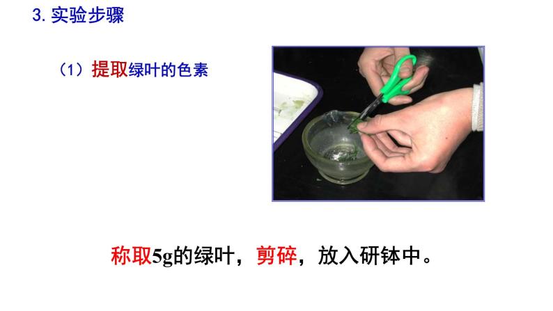 高中生物人教版 2019必修1《分子与细胞》一 捕获光能的色素和结构课文课件ppt 教习网课件下载