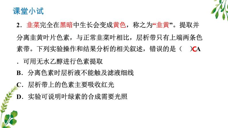 高中生物人教版 2019必修1《分子与细胞》一 捕获光能的色素和结构说课ppt课件 教习网课件下载