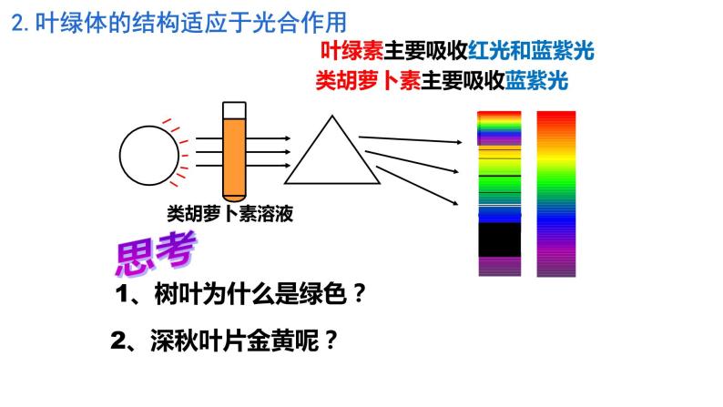 高中生物人教版 2019必修1《分子与细胞》一 捕获光能的色素和结构说课ppt课件 教习网课件下载