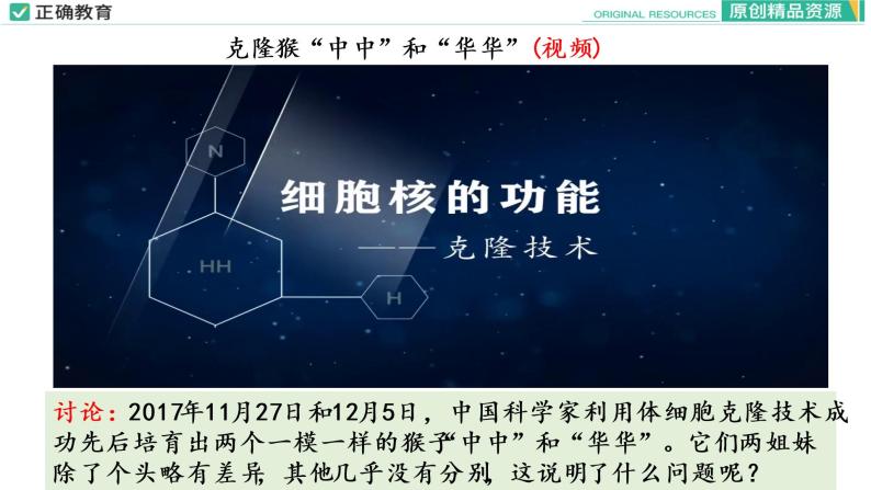 高中生物人教版 2019必修1《分子与细胞》第3节 细胞核的结构和功能集体备课课件ppt 教习网课件下载