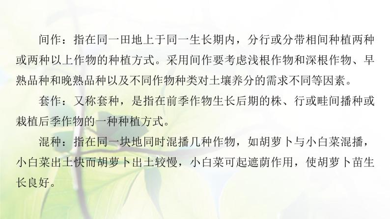 2023届高考生物二轮复习微专题二提高农作物产量课件 教习网课件下载