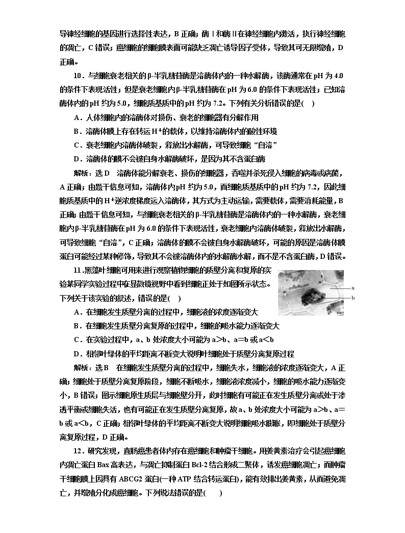 2023届高考生物二轮复习考前热点主题融会贯通训练一生命的基本单位——细胞作业含答案 教习网试卷下载