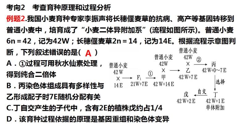 2022届高三生物一轮复习课件：生物育种的原理及应用3 教习网课件下载