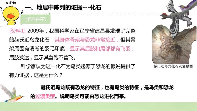 人教版 2019必修2《遗传与进化》第1节 生物有共同祖先的证据精品课件ppt 教习网课件下载