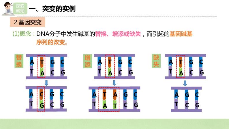 高中生物人教版 2019必修2《遗传与进化》第1节 基因突变和基因重组完整版课件ppt 教习网课件下载