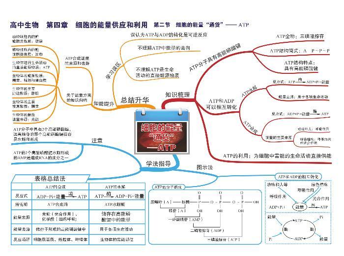 高中生物思维导图 第四章 细胞的能量供应和利用 教习网课件下载