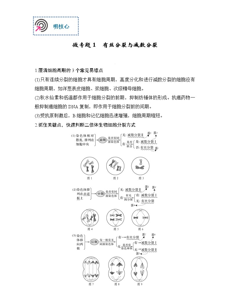 专题三 细胞的生命历程——【新教材】2023年高考生物二轮复习专题学案汇编（原卷版解析版） 教习网学案下载
