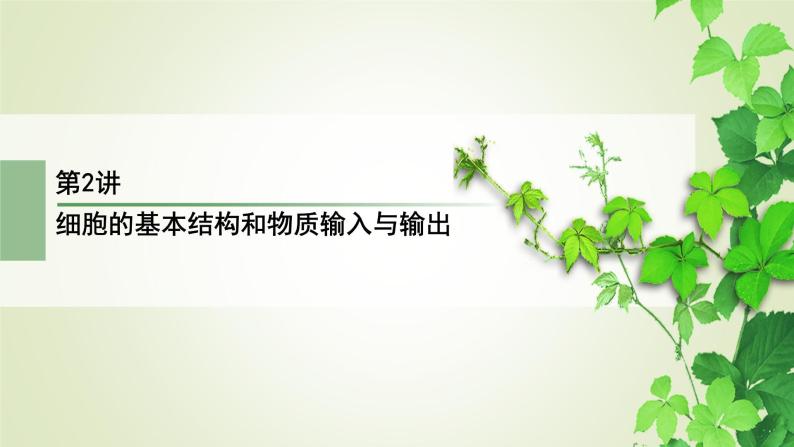 2023届高考生物二轮复习细胞的基本结构和物质输入与输出课件 教习网课件下载