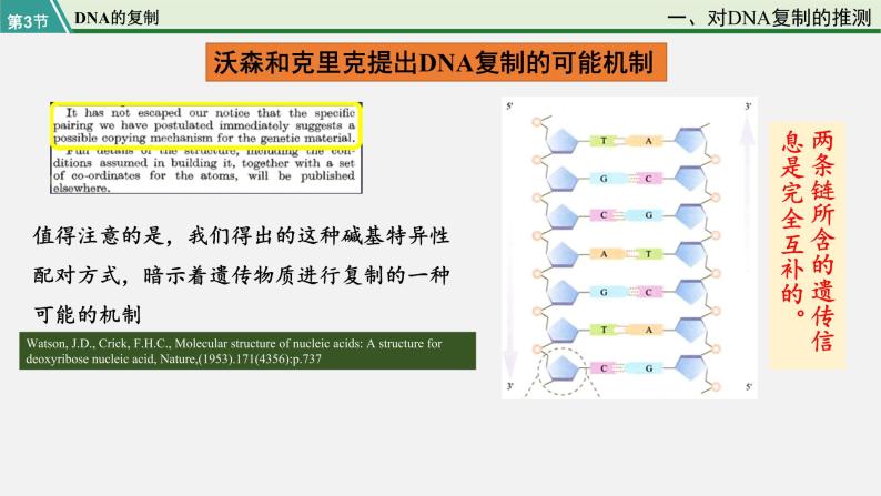 高中生物人教版 2019必修2《遗传与进化》第3节 Dna的复制教学演示ppt课件 教习网课件下载
