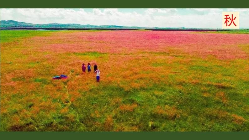 高中生物人教版 2019选择性必修2第1章 种群及其动态第3节 影响种群数量变化的因素教学演示ppt课件 教习网课件下载