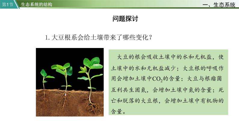 高中生物人教版 2019选择性必修2第1节 生态系统的结构教案配套ppt课件 教习网课件下载
