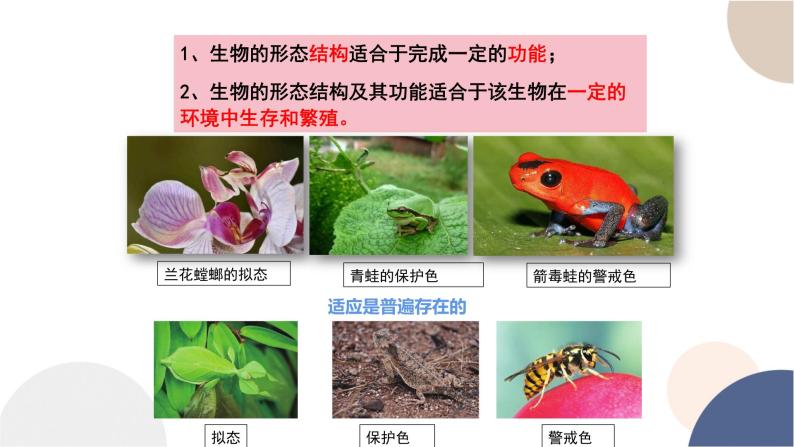 第五章 第二节 适应是自然选择的结果(课件ppt) 教习网课件下载