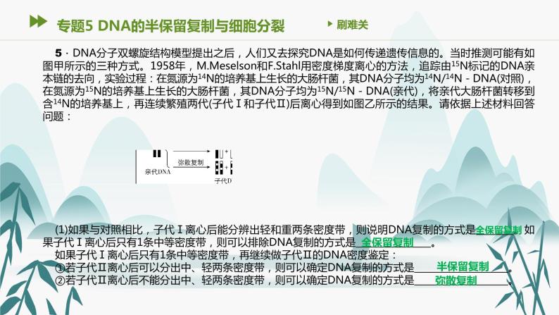 第3章 基因的本质 专题5 DNA的半保留复制与细胞分裂课件PPT-教习网|课件下载