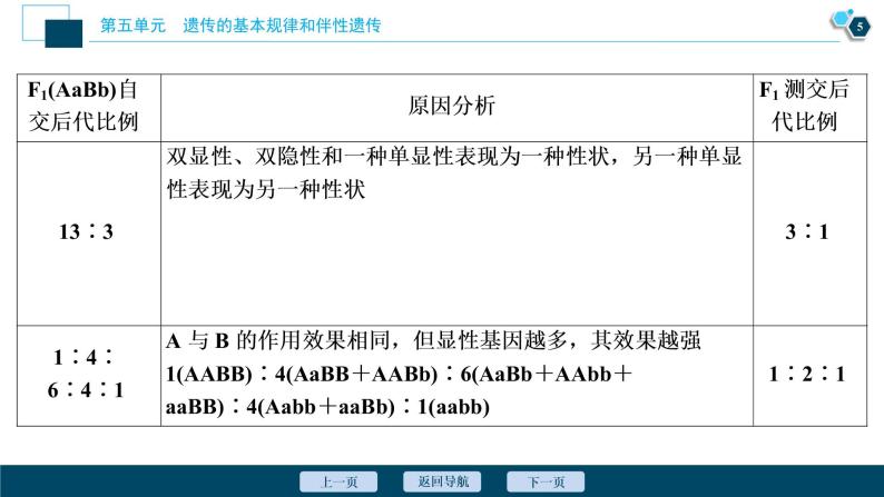 高中生物高考3 第五单元 加强提升课4 基因自由组合定律的拓展题型突破课件ppt 教习网课件下载