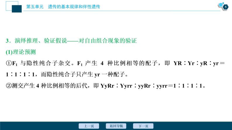 高中生物高考2 第五单元 第15讲 基因的自由组合定律课件ppt 教习网课件下载