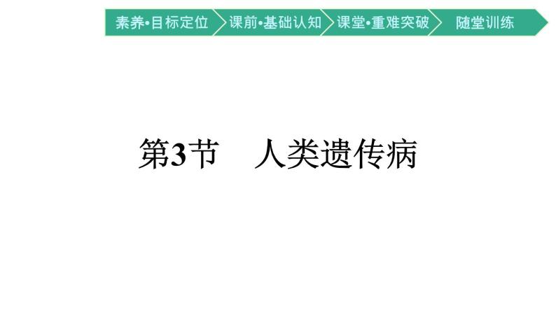 高中生物人教版 2019必修2《遗传与进化》第3节 人类遗传病背景图课件ppt 教习网课件下载