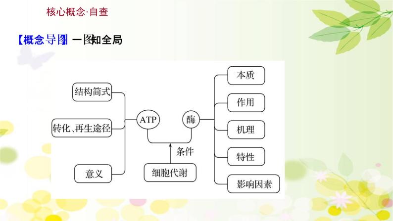 高中生物高考2022届新教材一轮复习人教版 第三单元 第1课 Atp和酶 课件 教习网课件下载