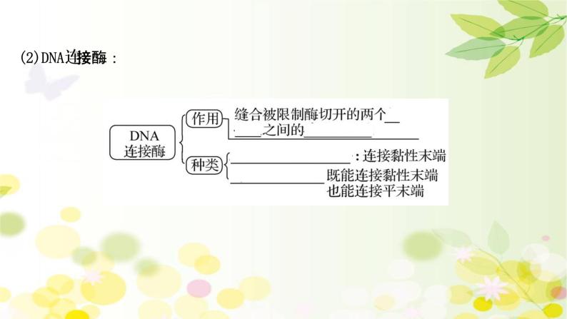高中生物高考2022届新教材一轮复习人教版 第十单元 第4课 基 因 工 程 课件 教习网课件下载