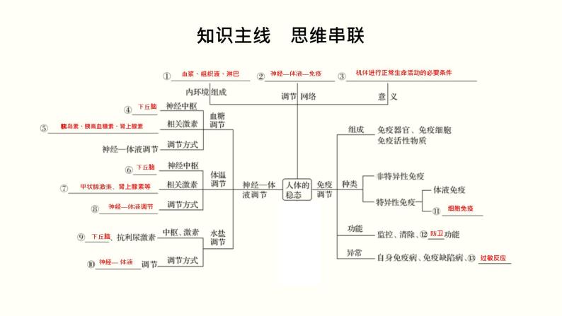 高中生物高考第十一单元 神经调节、体液调节与免疫调节（课件） 教习网课件下载