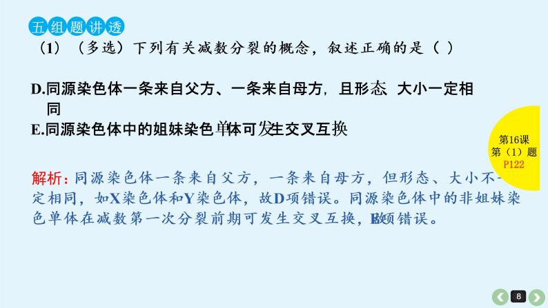 高中生物高考高考生物（全国版）一轮复习课件：第16课 减数分裂和受精作用 教习网课件下载