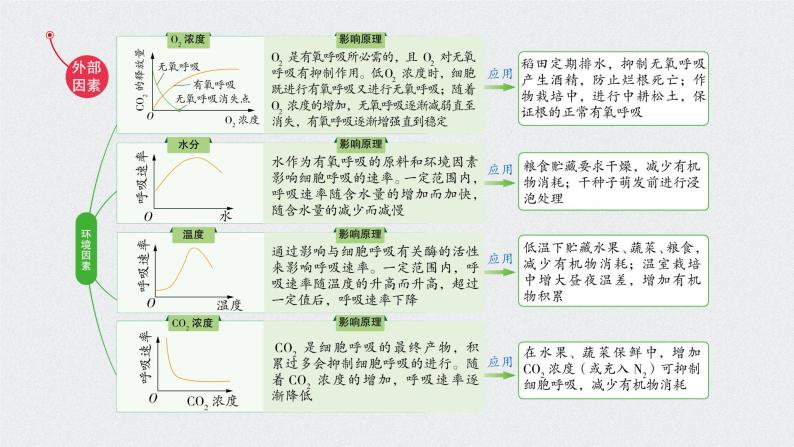 高中生物高考考点精讲5 细胞呼吸的原理和应用（课件） 教习网课件下载