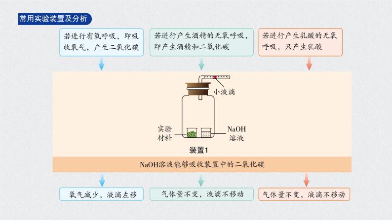 高中生物高考考点精讲5 细胞呼吸的原理和应用（课件） 教习网课件下载