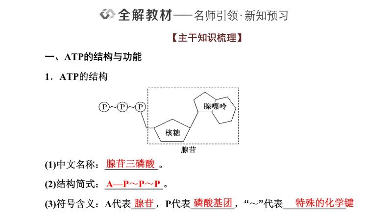 生物第2节 细胞的能量 货币”atp备课ppt课件 教习网课件下载